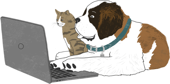 Unsupported Browser | Zoetis Petcare